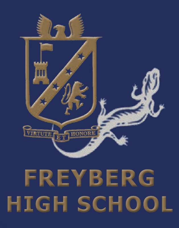 Freyberg High School - High School in Neuseeland